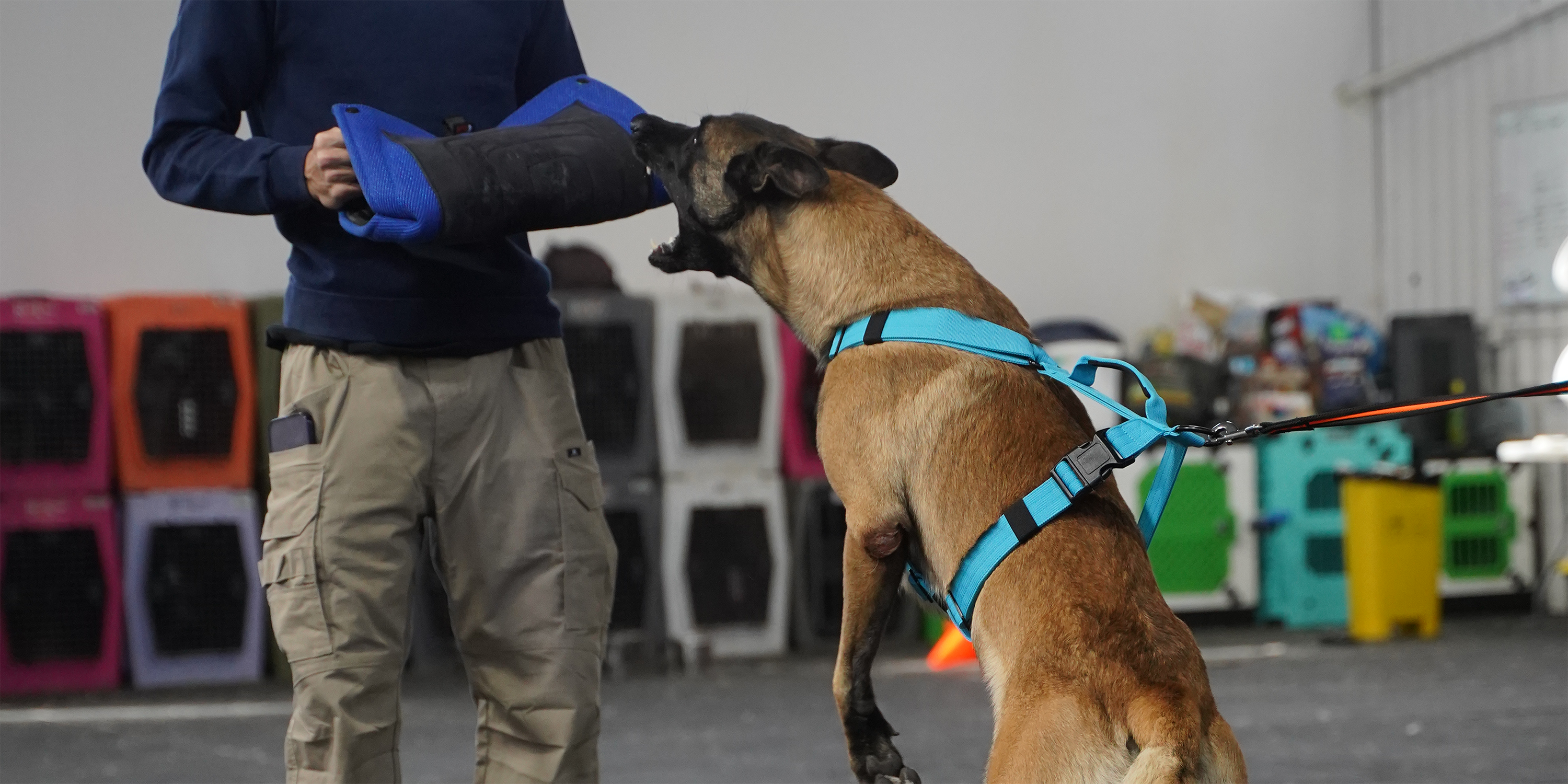 K9 Academy Shop